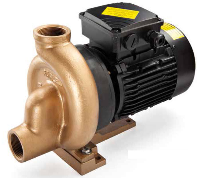 Swimming pool pump - P01 : 114 - Pahlen