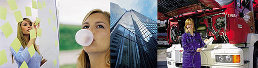 Sealant - OPPANOL® - BASF USA