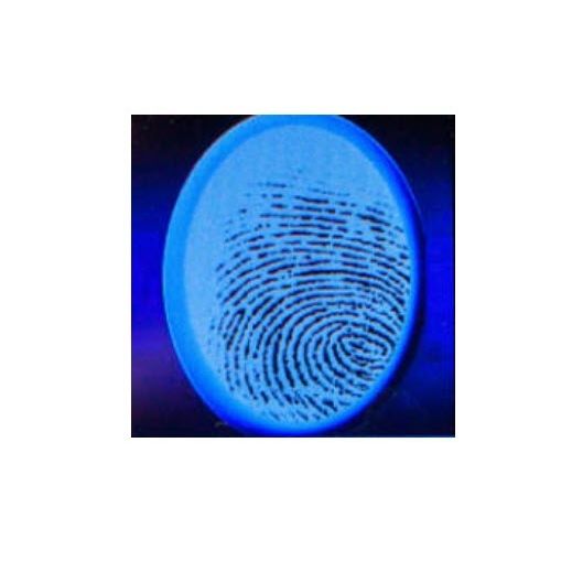 Access control biometric fingerprint reader - Chubb