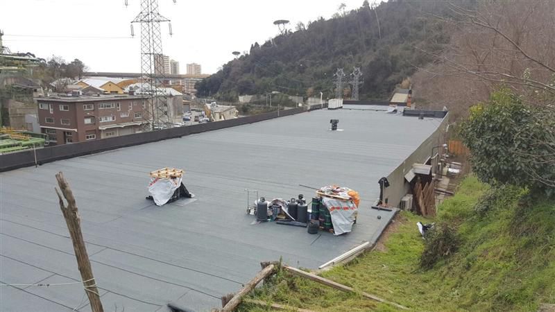 Protection waterproofing membrane - POLYFLEX HP LIGHT - Polyglass Spa ...