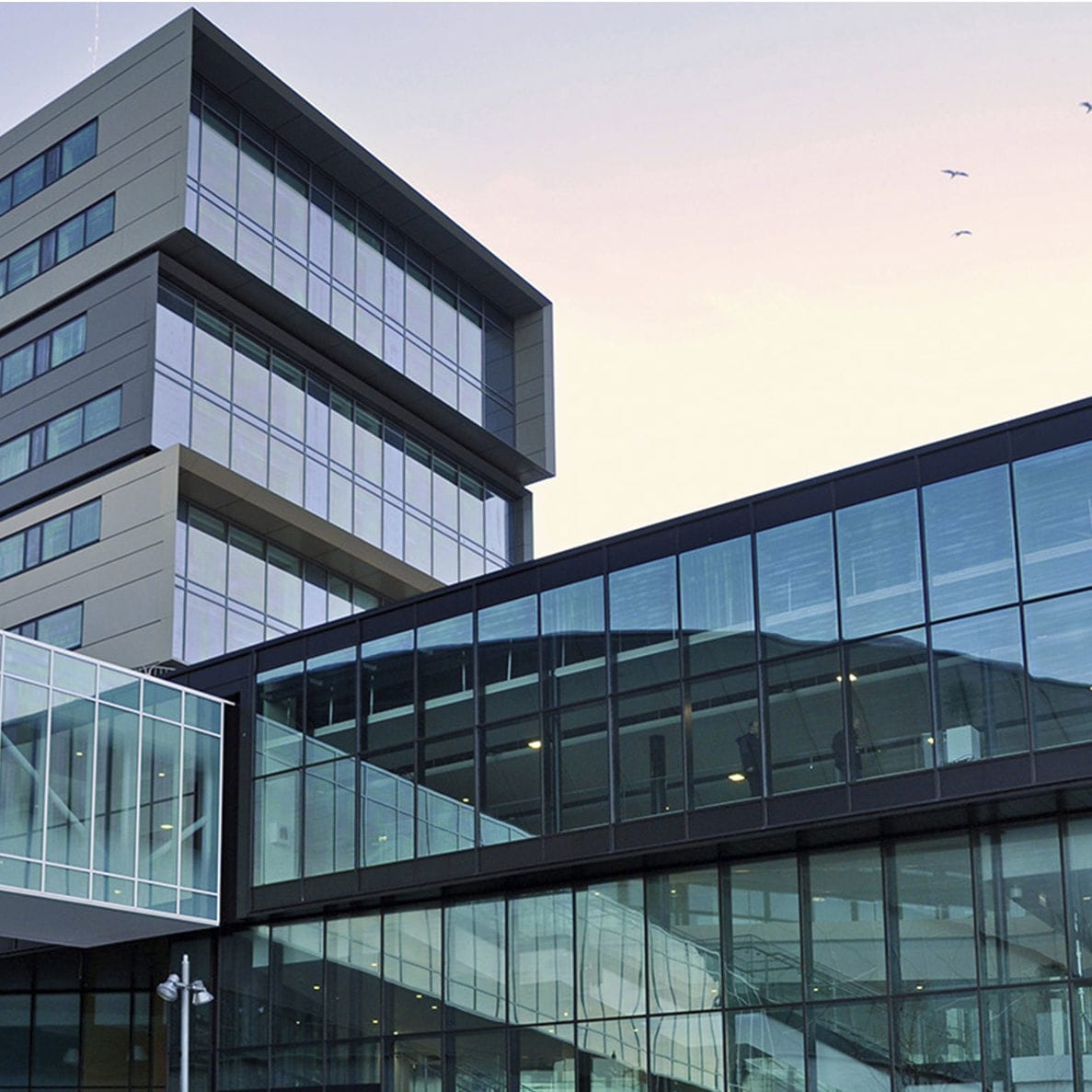 Panel curtain wall - 451PT - KAWNEER - aluminum and glass