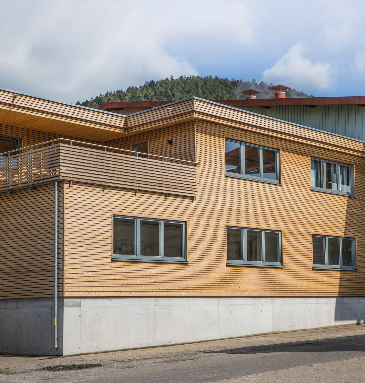 Panel cladding - Rhombus - Braun Wuerfele - spruce / larch / horizontal