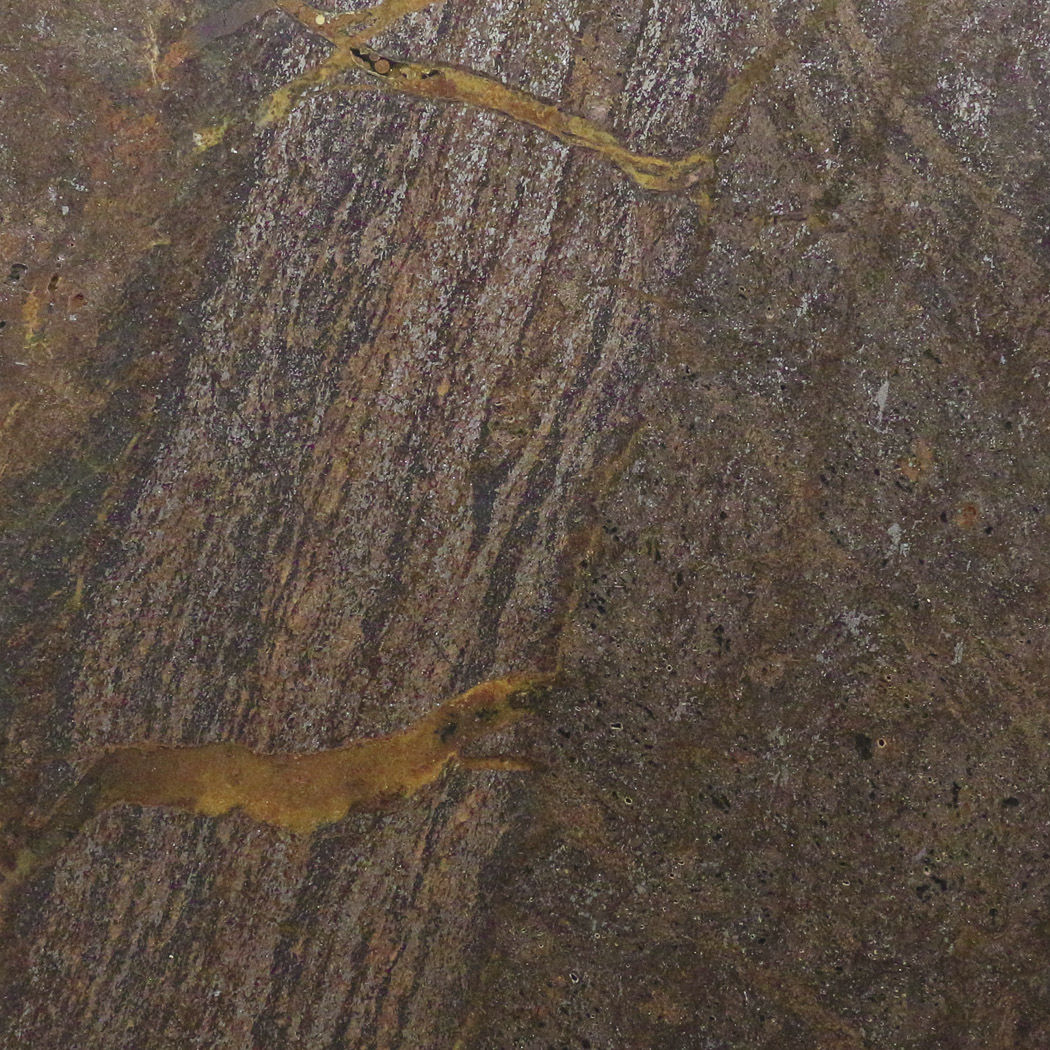 Quartzite stone slab - BRONZITE - Nikolaus Bagnara S.p.A. - for floor ...