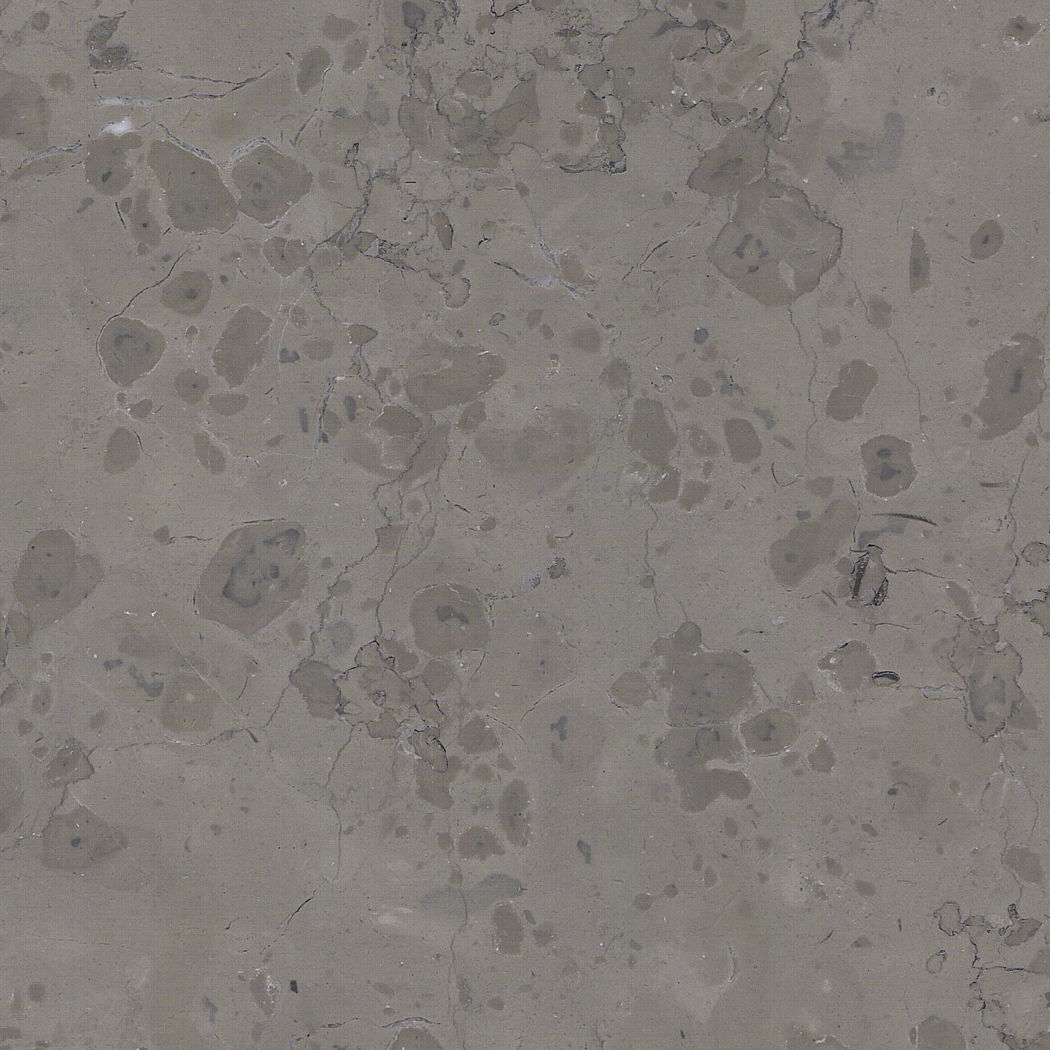 Limestone stone slab - GRIGIO PERLA - Nikolaus Bagnara S.p.A. - for ...