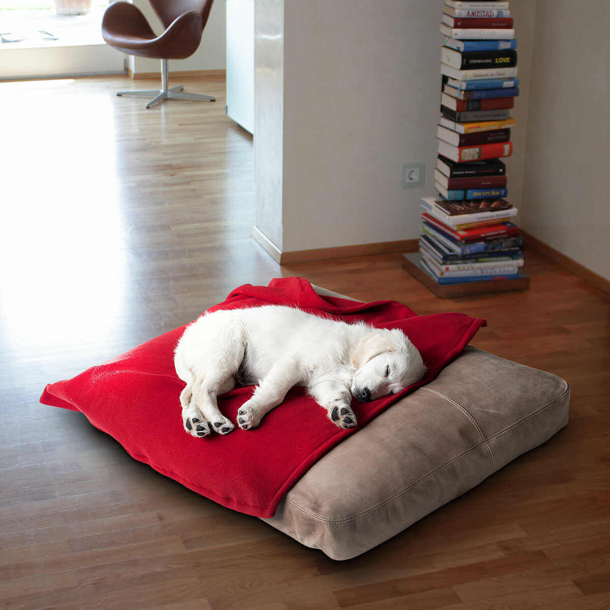 Pet dogs and cats cushion - SOFY - pet.interiors - round / rectangular ...