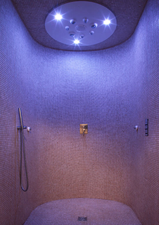 Sensory shower - FOG W2 - WDT - Werner Dosiertechnik - commercial / for spa