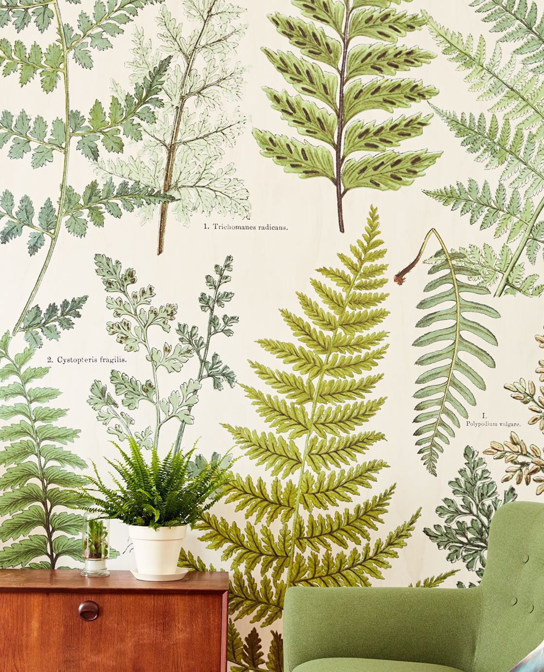 Contemporary wallpaper - GEONATURE - Eijffinger - vinyl / nature ...