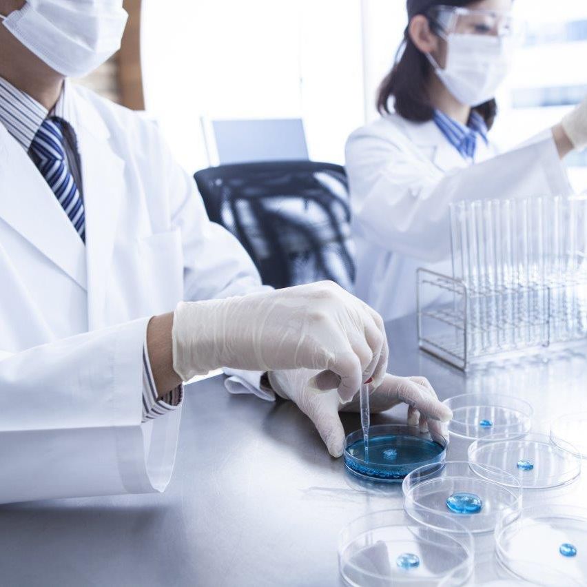 Interior laminated panel - LAB GUARDIAN - Greenlam Europe - high ...