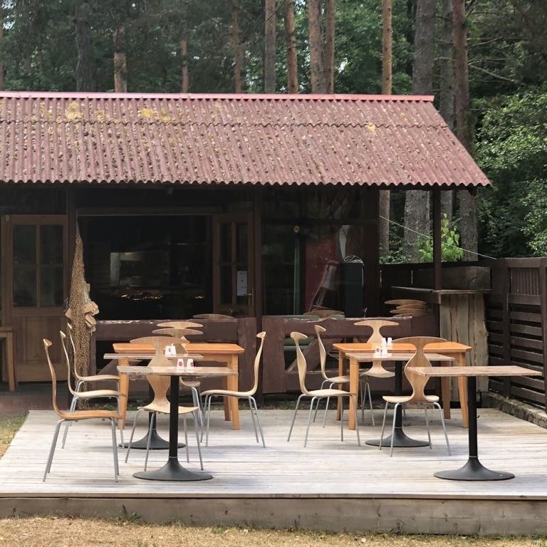 Scandinavian design chair - PYTHON - Plycollection - indoor / leather ...