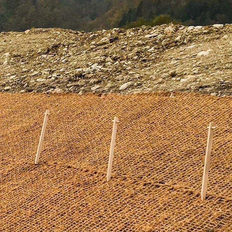 Wooden fastening system - SECUMAT® GREEN PINW - NAUE - soil reinforcing