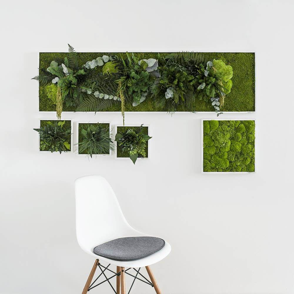 Moss living frame - ISLANDS - FlowerArt GmbH - natural / indoor