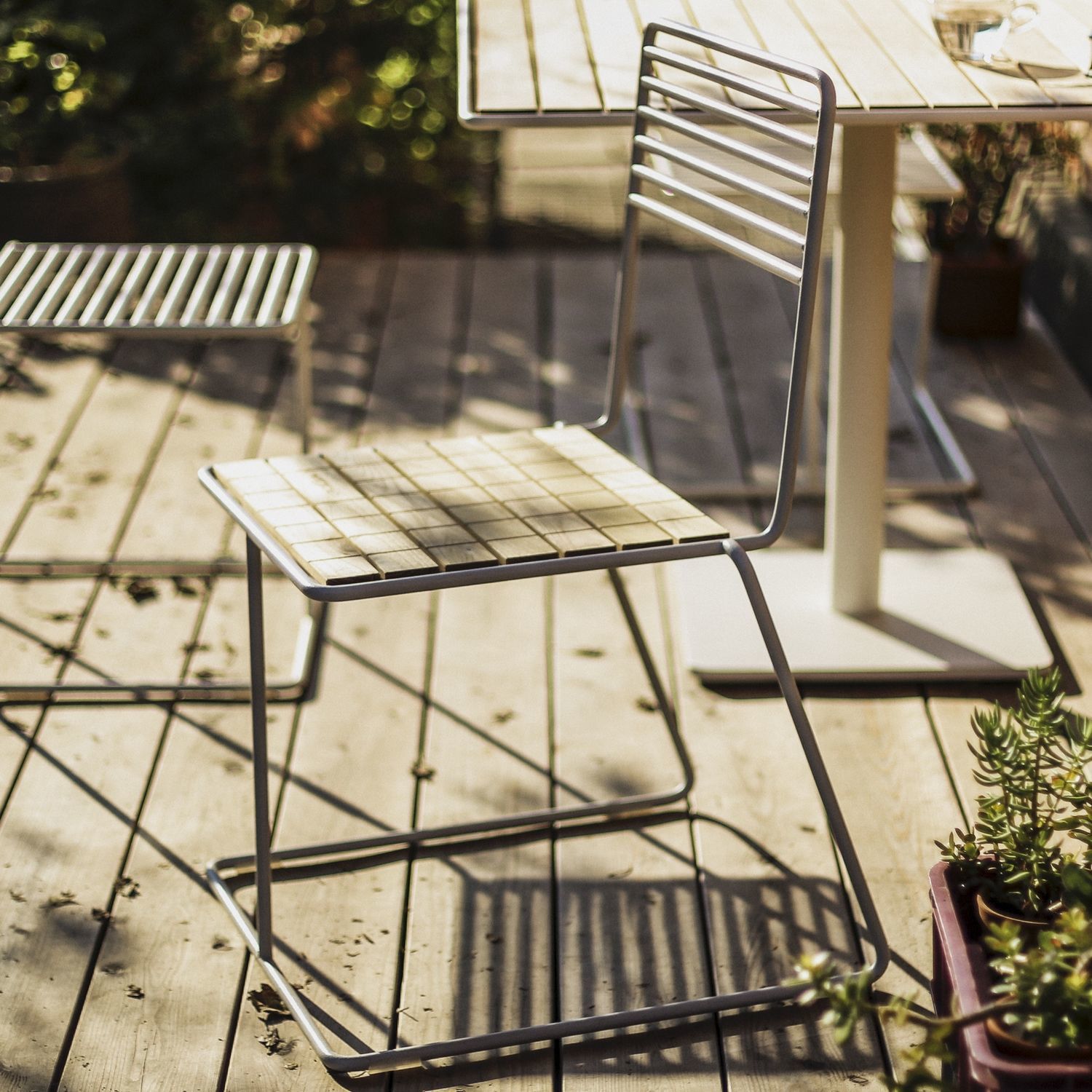 Contemporary chair - Tina KL102 - egoé - indoor / solid wood / powder ...