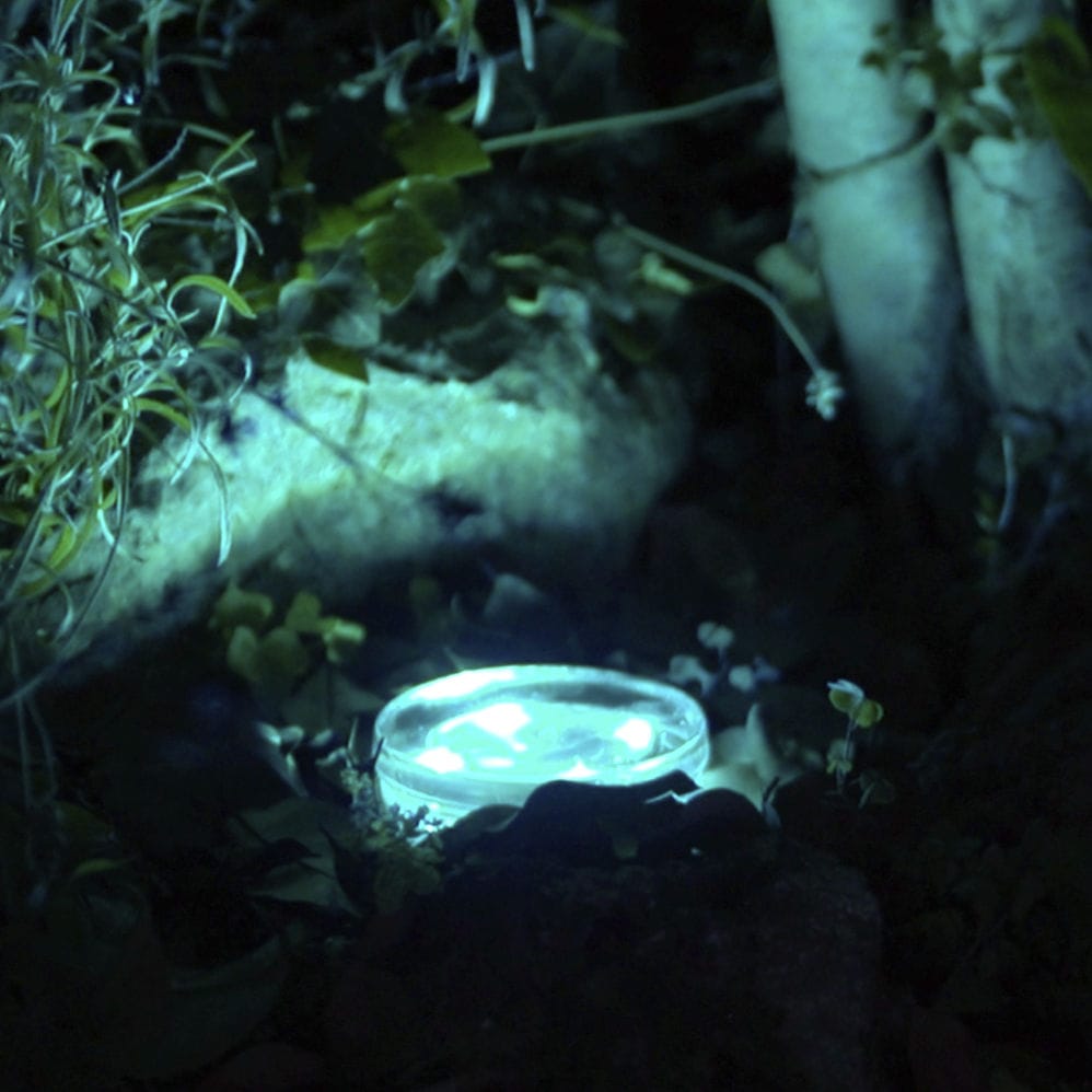 Crystal solar stud - PLOT CRISTAL - PLRE4 - Nowatt-lighting - tempered ...