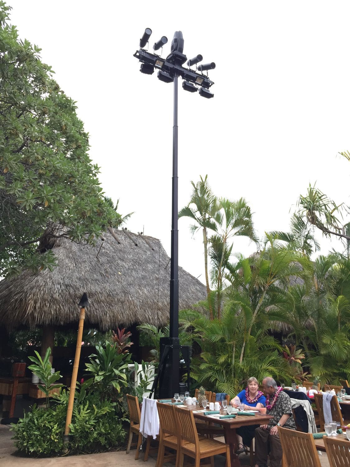 Mechanical lifting system - SELF-GUIDED TELESCOPIC LIFTING MAST ...