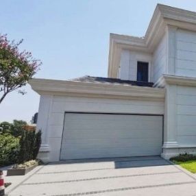 Sectional garage door - PLANA - Delta Overlap - aluminum / automatic ...