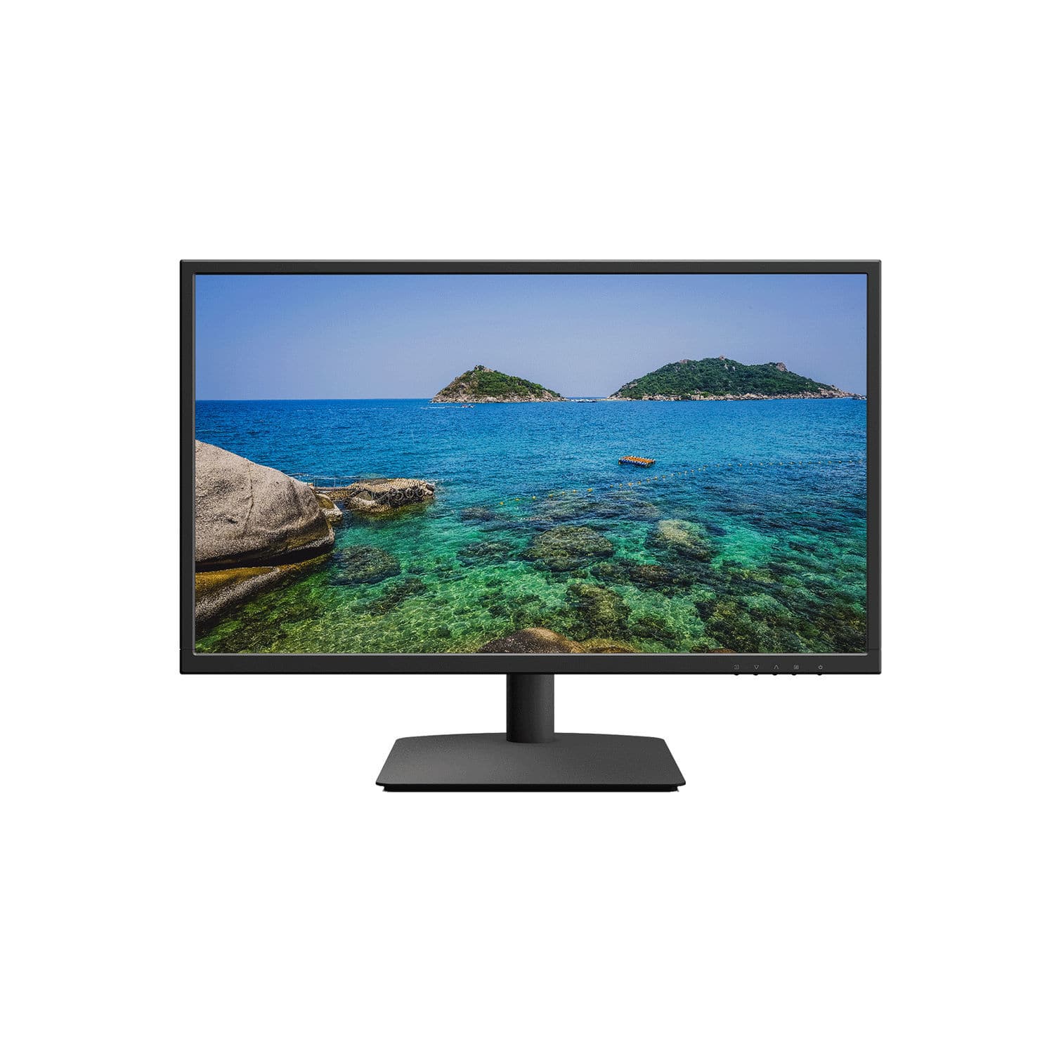 LCD monitor - PLL2450MW - Planar Systems, Inc. - full-color