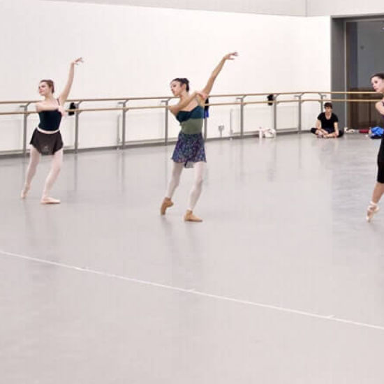 Floating sprung dance floor - WOODSPRING - HARLEQUIN - wooden / shock ...