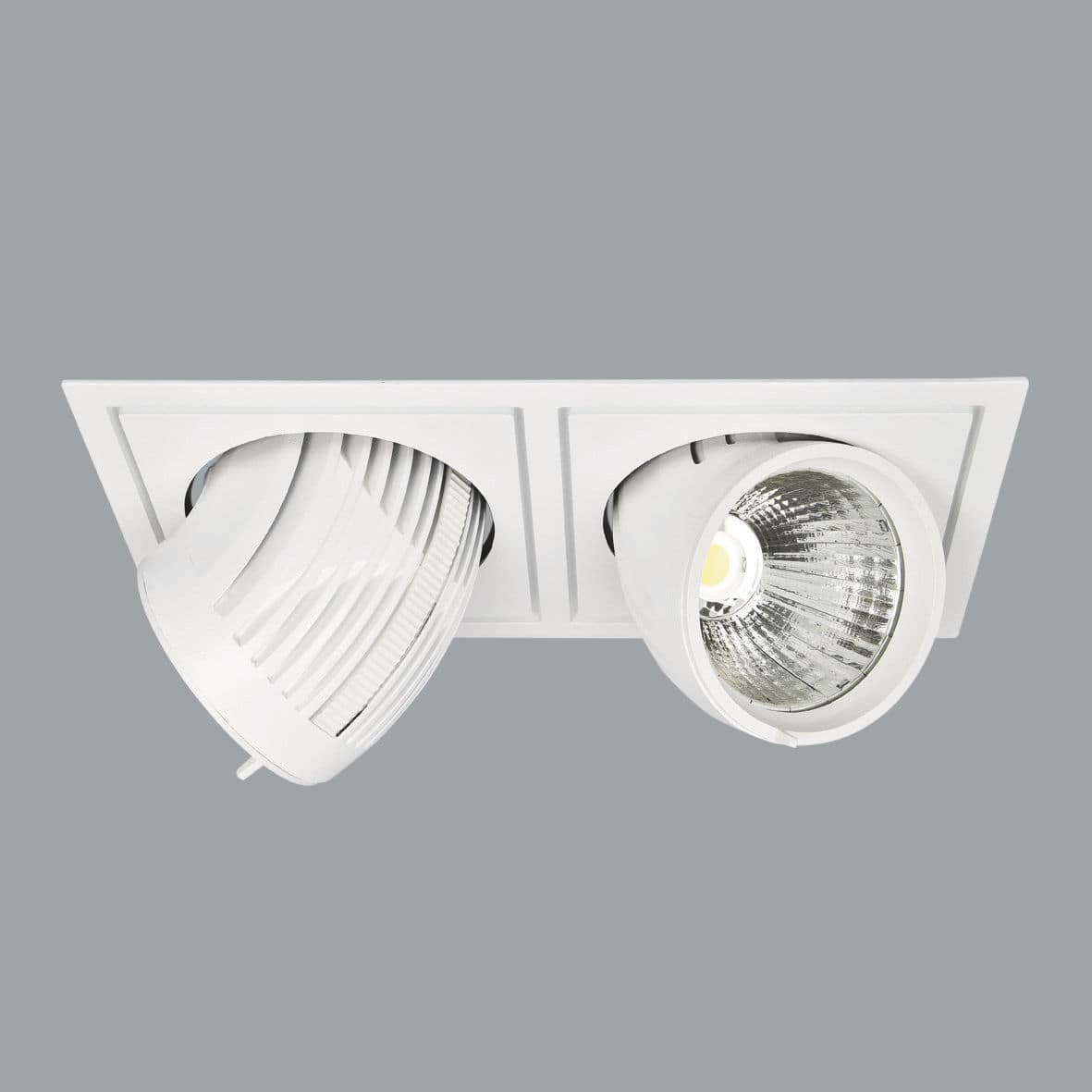 Recessed ceiling spotlight - ZEBRA DOUBLE BRIDGESPOT / I01.MLR.32238 ...