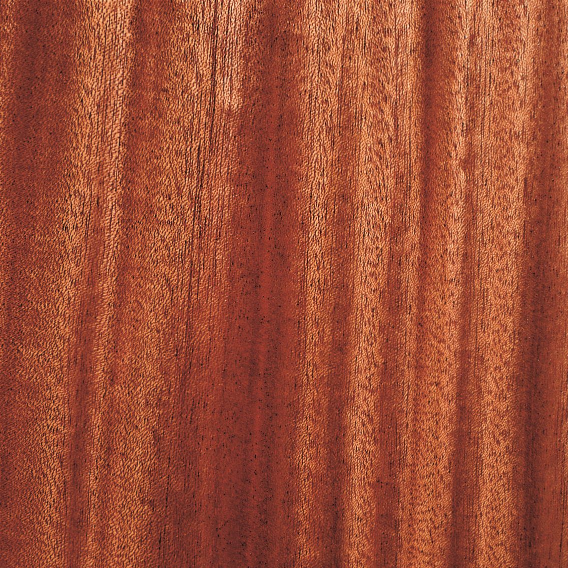 Wood veneer - KOSIPO - SCHORN&GROH