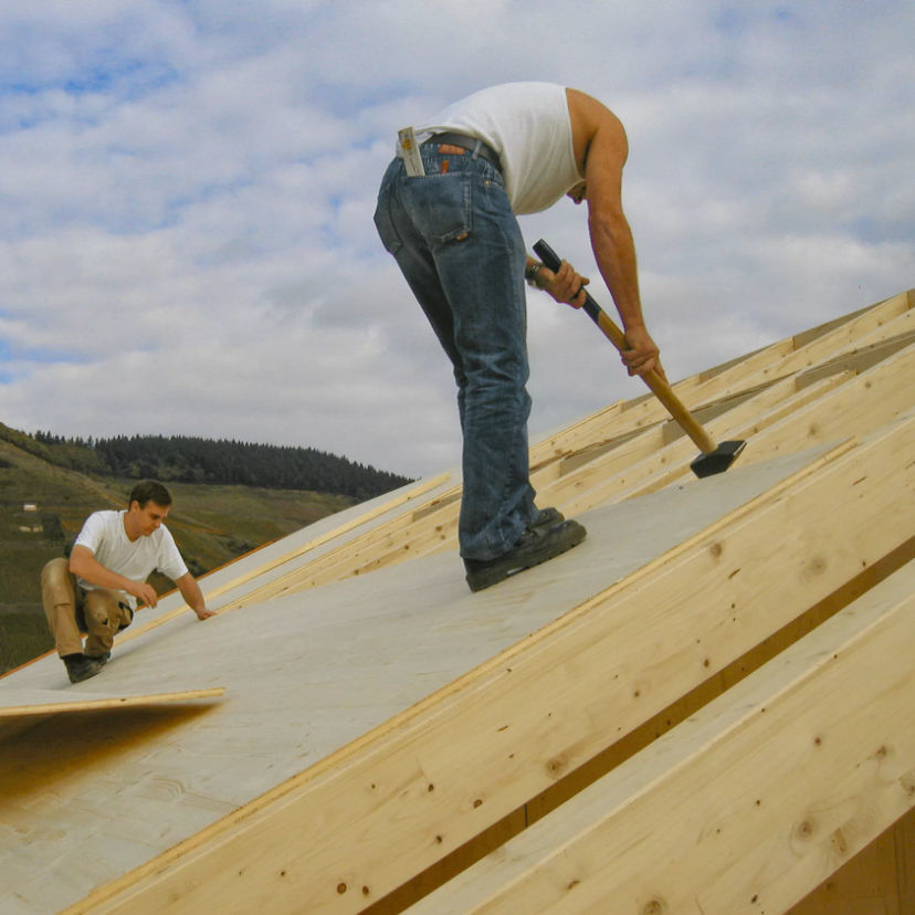 3-layer wood panel - VITA - elka Holzwerke GmbH - construction / for ...
