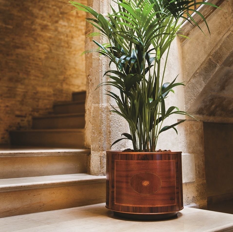 Mahogany planter - LONDON - Hobby Flower - palisander / rosewood / maple