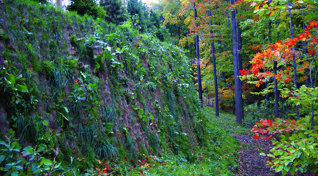 Erosion control geocell - GEOWEB® RETAINING WALLS - Presto Geosystems ...