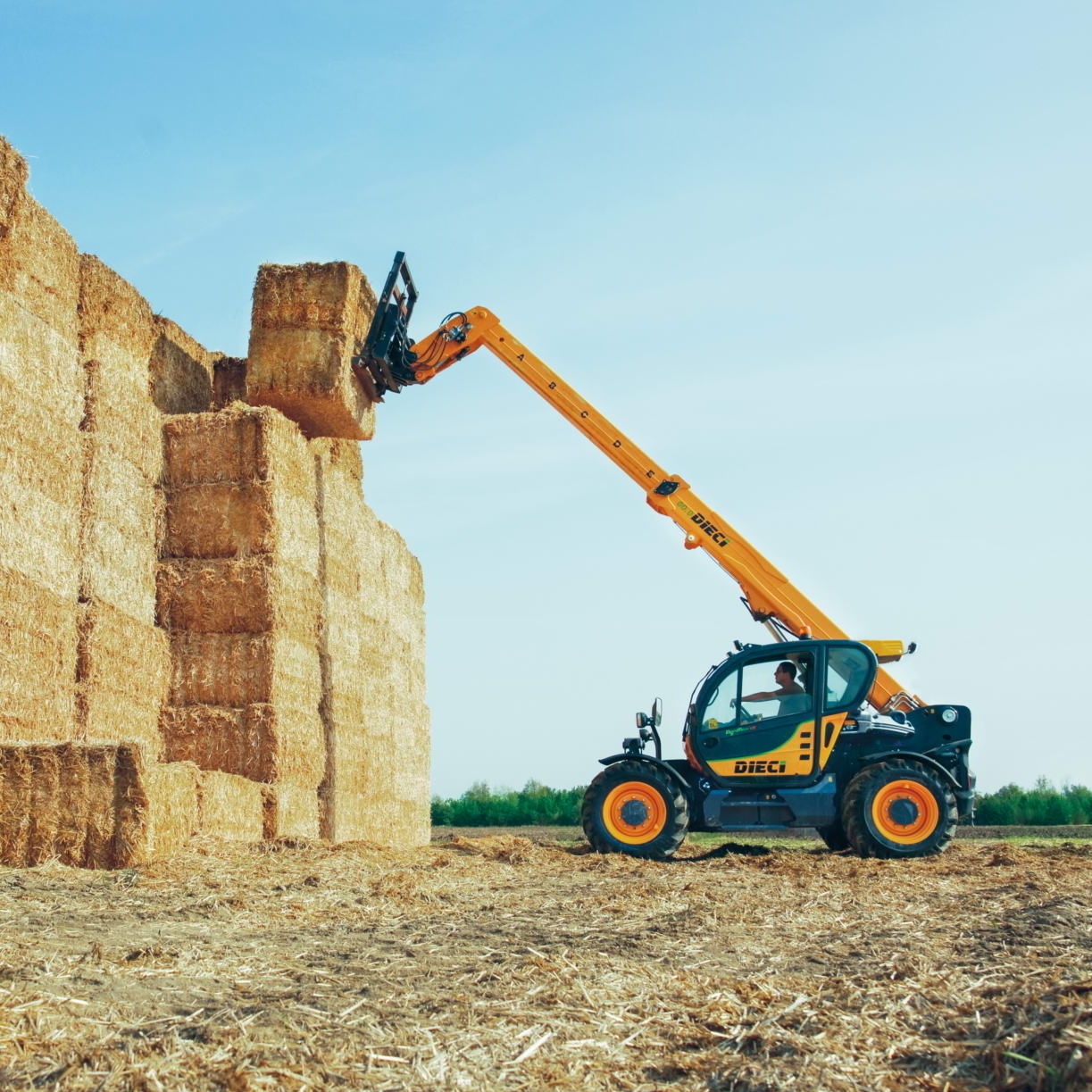 Loading telehandler - AGRI MAX 45.8 - DIECI - handling / lifting