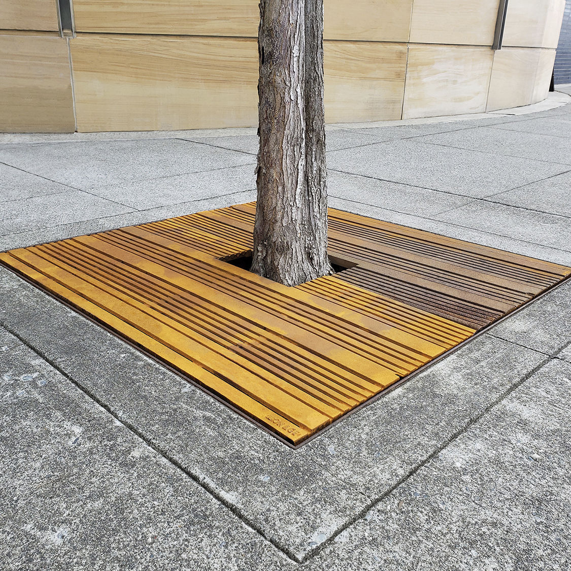 Square tree grate - MADRAS - IRON AGE DESIGNS - cast iron