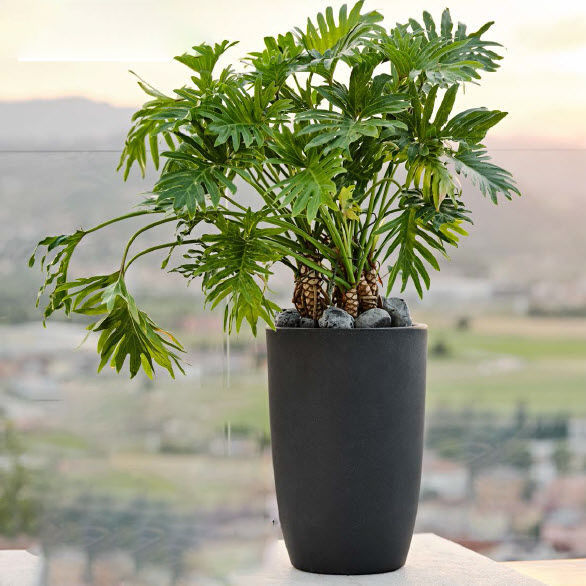 Terracotta plant pot - BOLD METI - TeraPlast - round / home