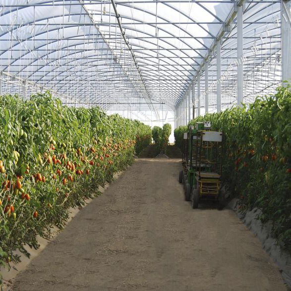 Commercial greenhouse - ATLANTIQUE 9.60M - Serres Jrc - gardening ...