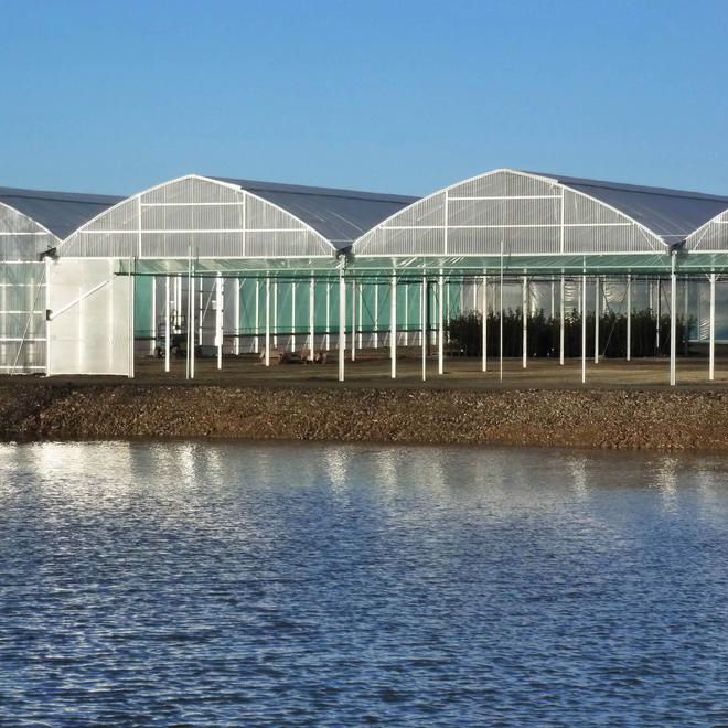 Commercial greenhouse - ATLANTIQUE 11.60M - Serres Jrc - gardening ...