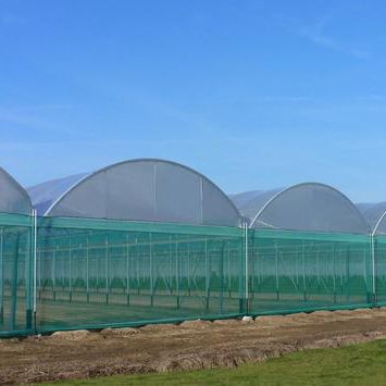 Commercial greenhouse - BALTIQUE - Serres Jrc - gardening / multi span ...