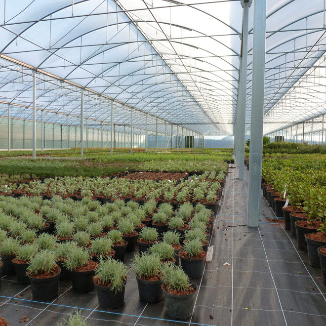 Commercial greenhouse - 9.60M ATLANTIQUE HORTICULTURAL - Serres Jrc ...