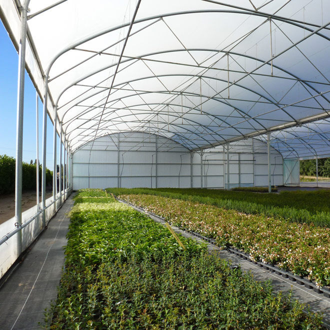 Commercial greenhouse - 9.60M ATLANTIQUE - Serres Jrc - gardening ...