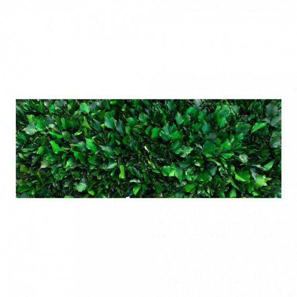 Preserved green wall - GVS-500-16 - green Habitat - modular-panel ...