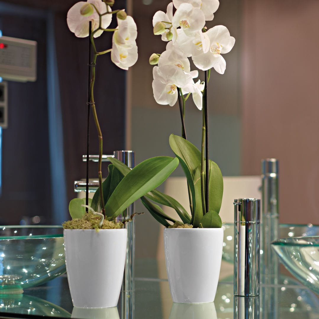 Polystyrene plant pot - FIJI - Artevasi, S.A - polypropylene / free ...