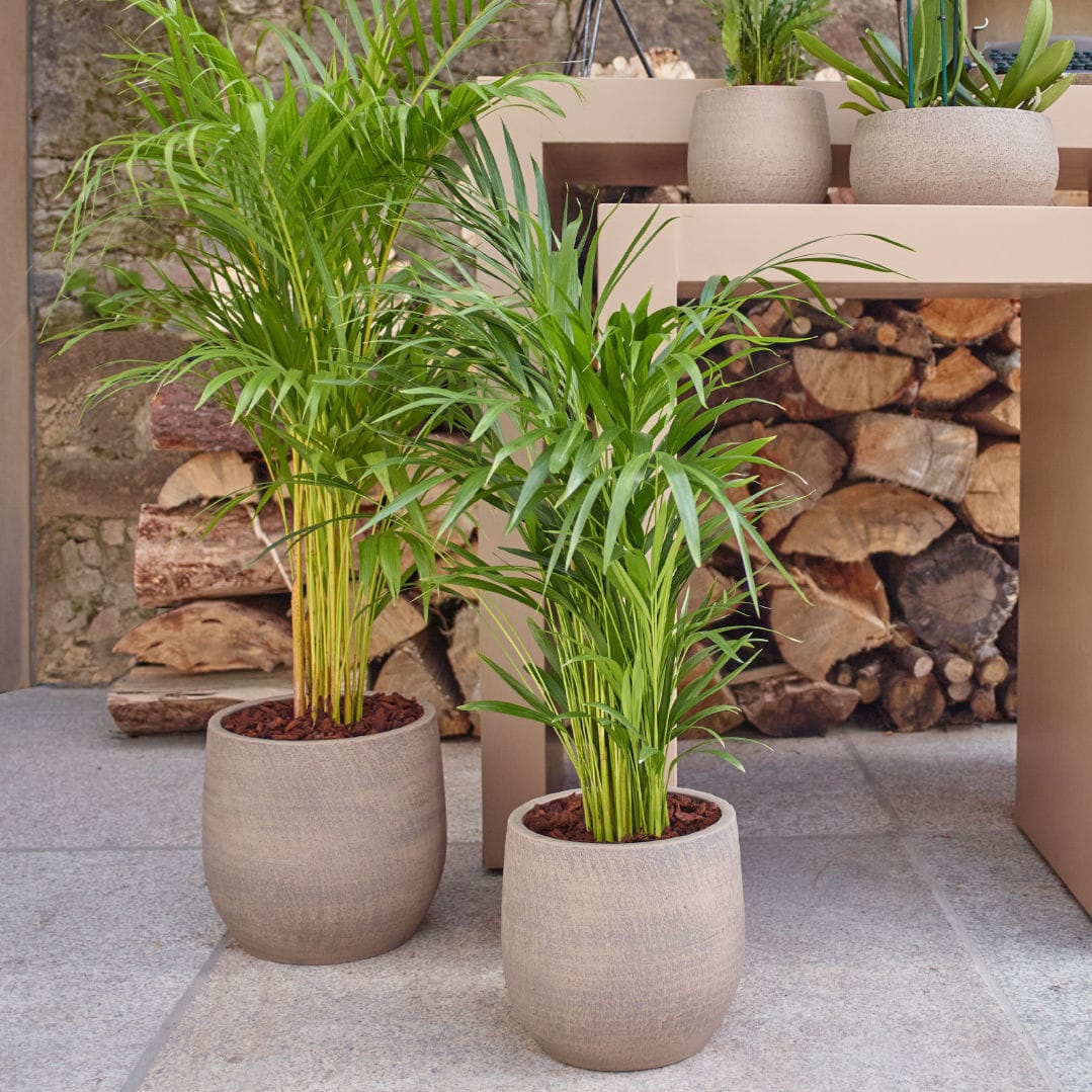 Ceramic plant pot - HEMERA - Artevasi, S.A - round / home