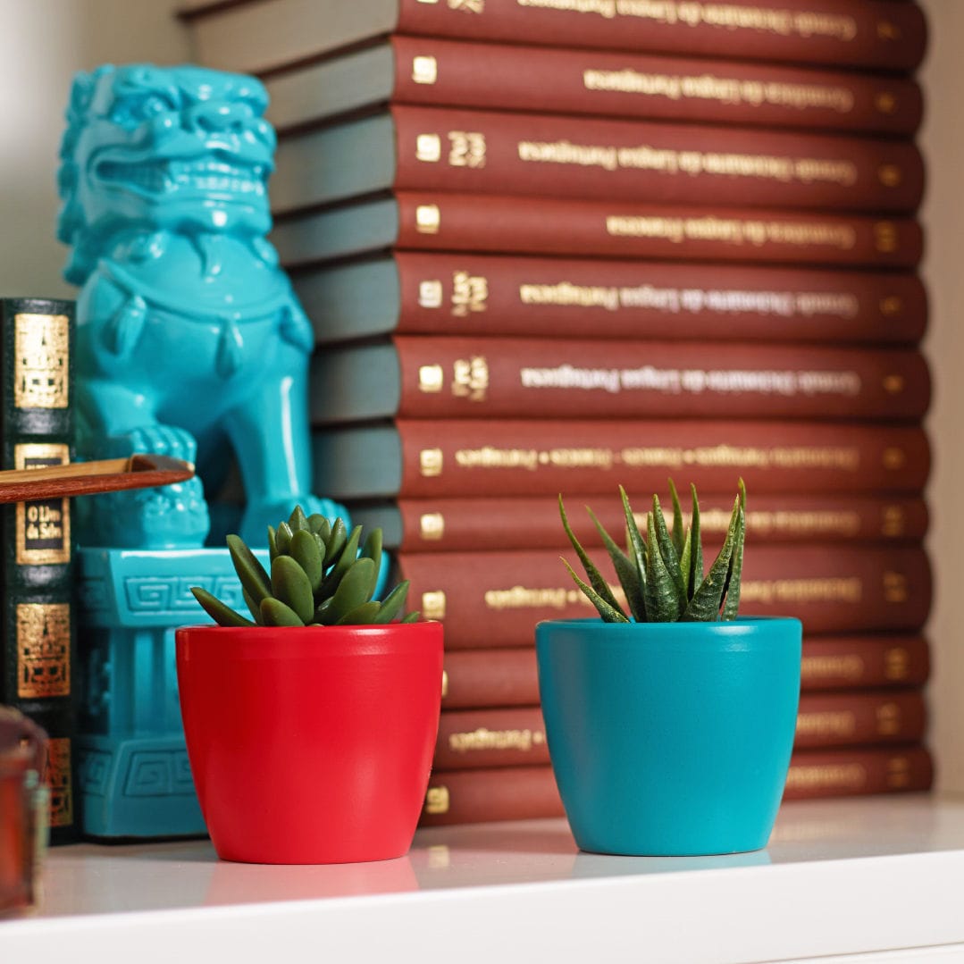 Ceramic plant pot - NUBIA CACTUS - Artevasi, S.A - round / home