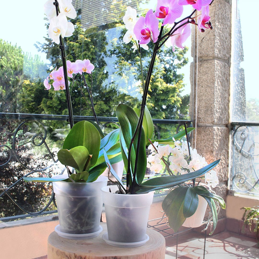 Polypropylene flower pot - MADAGASCAR - Artevasi, S.A - round / home