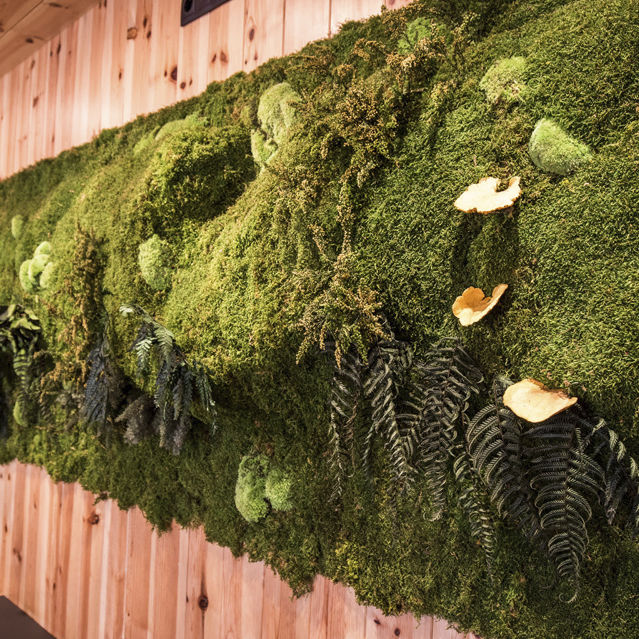 Acoustic wall panel - MOSS&PLANTS MID - Greenarea - preserved plants ...