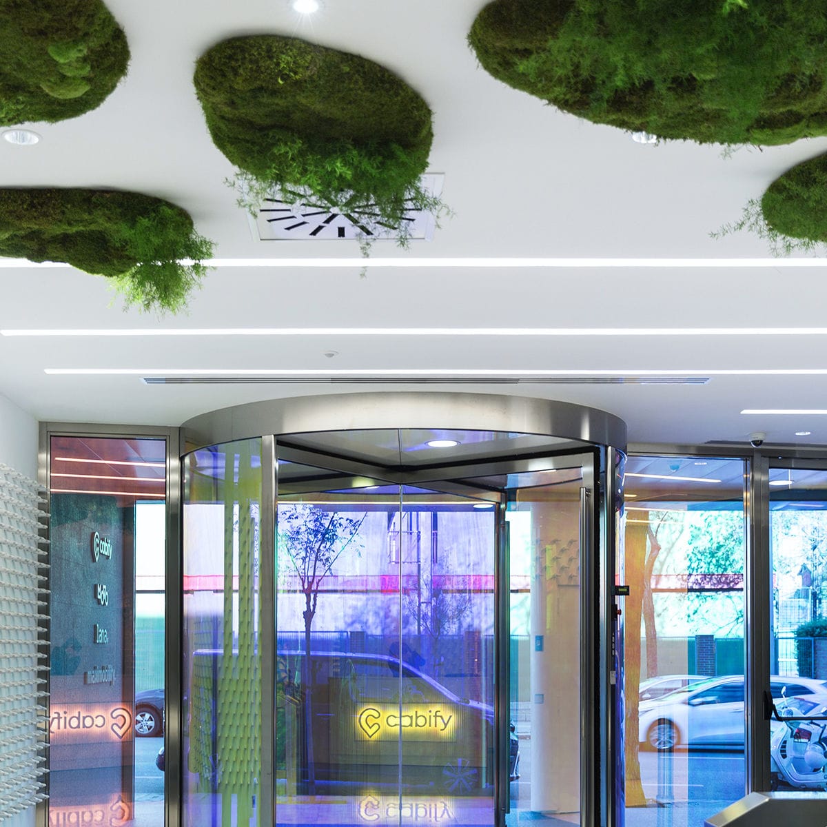 Panel suspended ceiling - MOSS&PLANTS MID - Greenarea - green / decorative