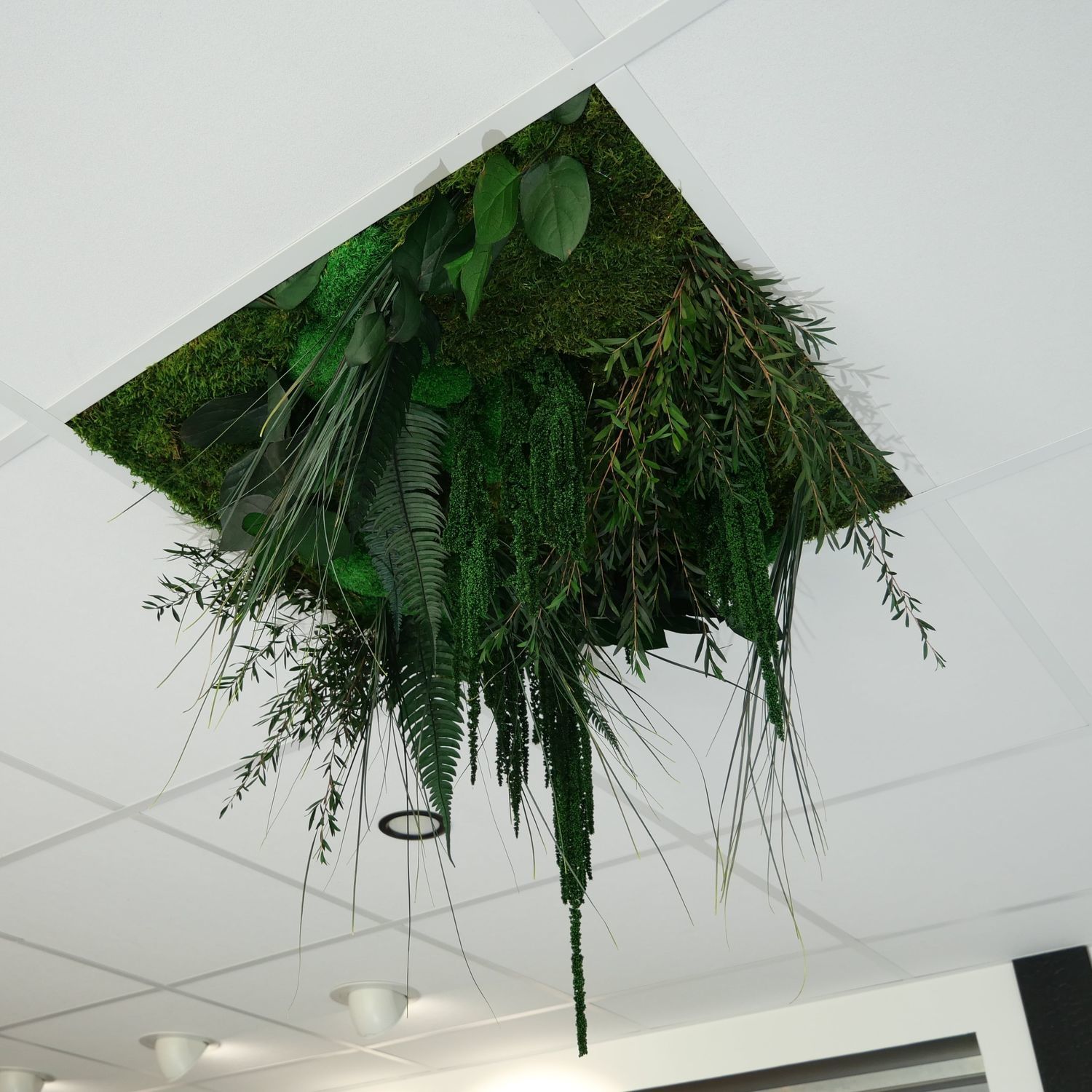 Green suspended ceiling - Relief - Végétal Indoor - PET / tile / indoor