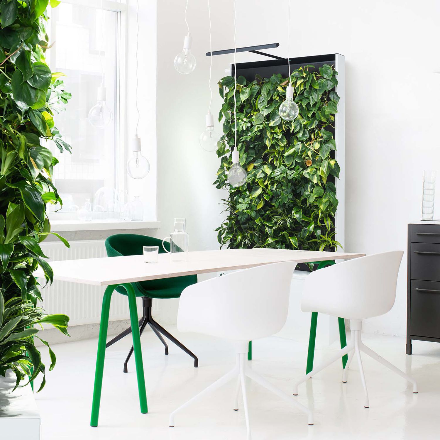 Preserved green wall - ONE - NAAVA - modular-panel / natural / indoor