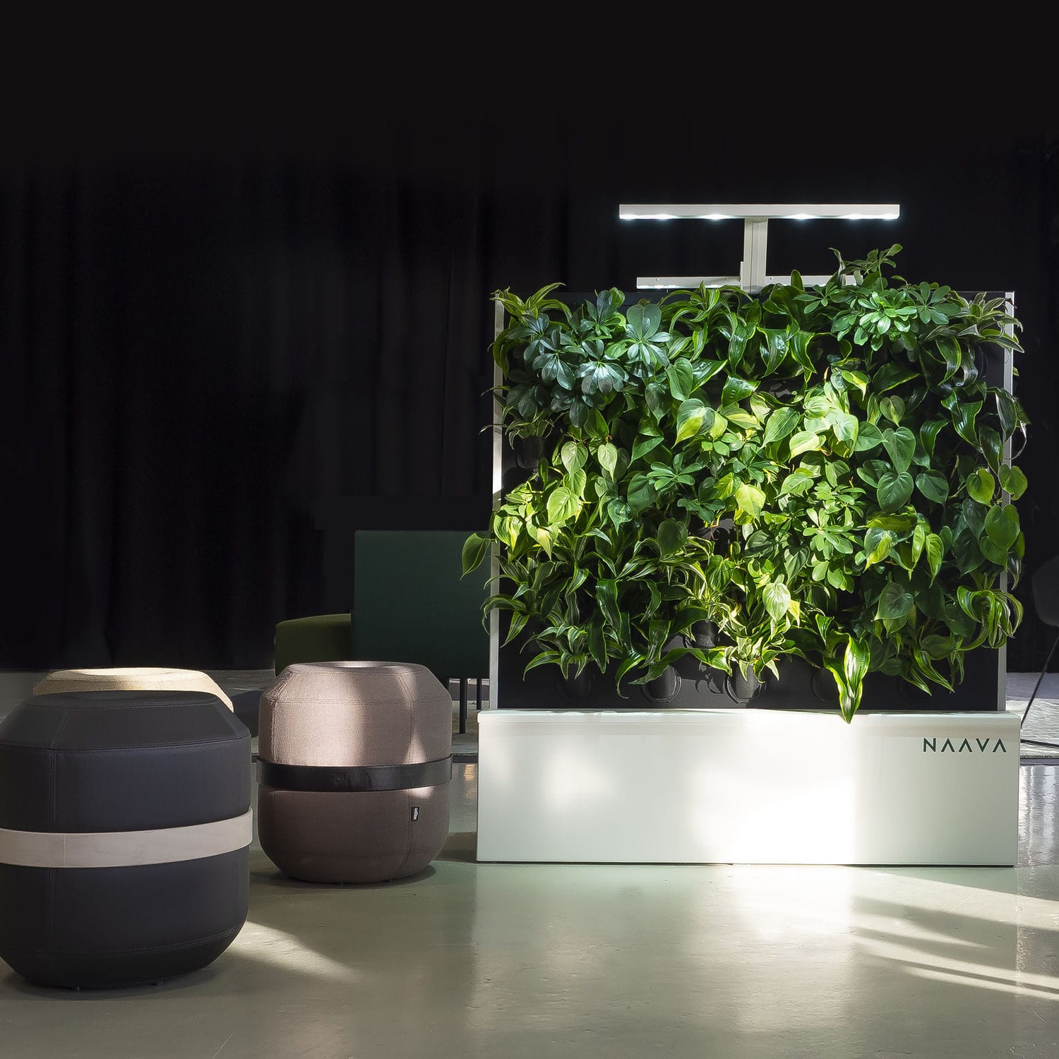 Preserved green wall - FLOW - NAAVA - modular-panel / natural / indoor