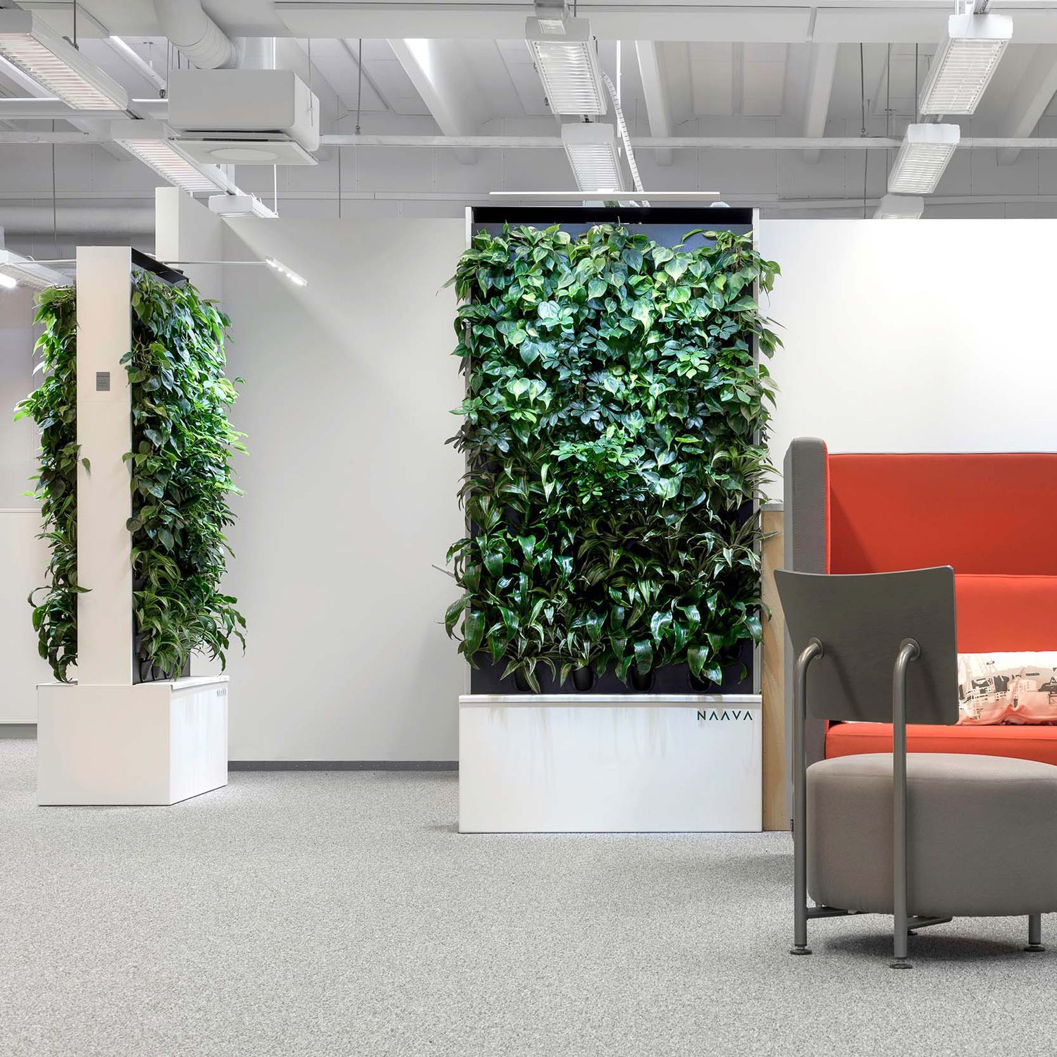 Preserved green wall - DUO - NAAVA - modular-panel / natural / indoor