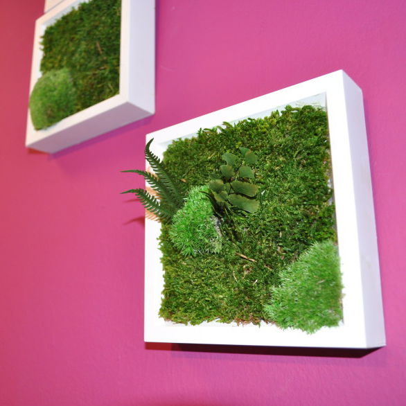 Preserved living frame - FIVE SQUARE - LinfaDecor - moss / indoor ...