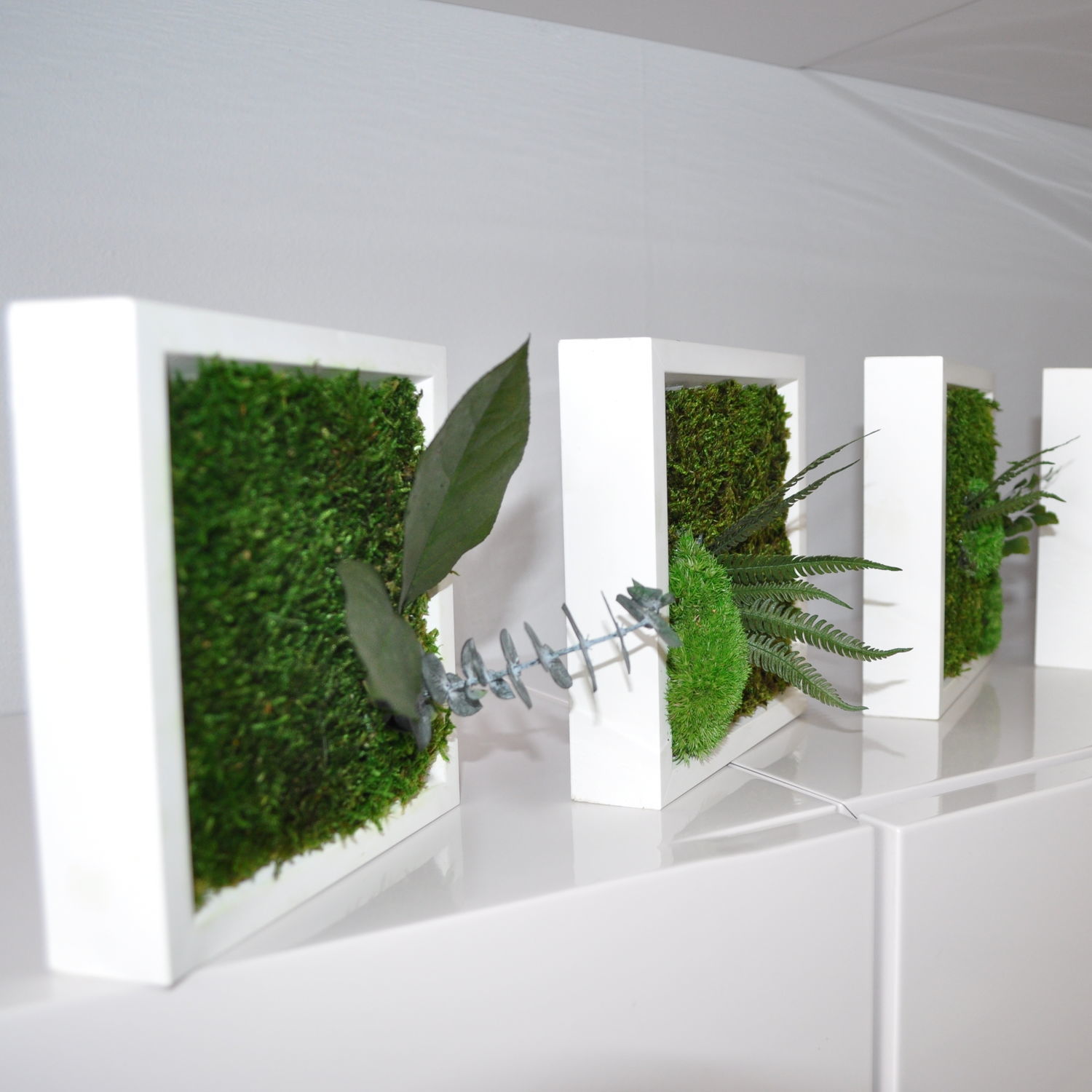 Preserved living frame - FIVE SQUARE - LinfaDecor - moss / foliage / in ...
