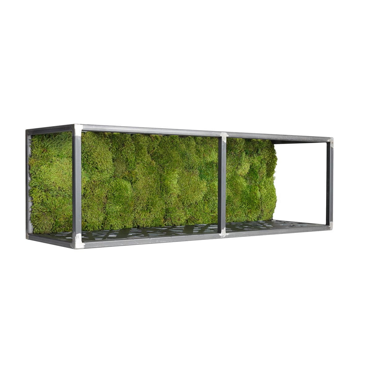 Preserved living frame - INDUSTRIAL - LinfaDecor - moss / indoor / with ...