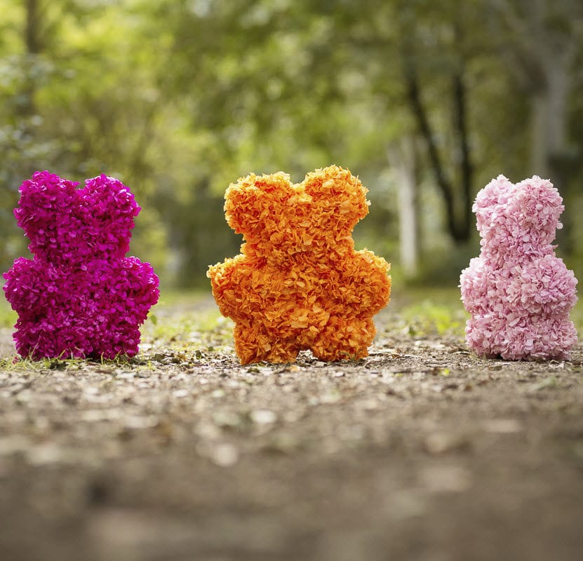 Preserved ornamental plant - FLORA PET - LinfaDecor - medium-size / indoor