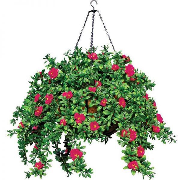 Wrought iron plant pot - AZALEA - PLANTERS UNLIMITED - coconut ...